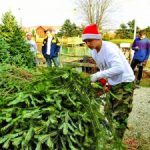 Medina Christmas Tree Farms - Country Folks Grower