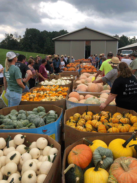 Things to know about produce auctions - Country Folks Grower