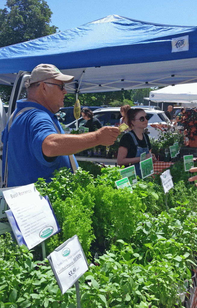 Farmers markets: Choosing the best market and pricing - Country Folks ...