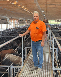 Feeding beef cattle efficiently - Country Folks Grower