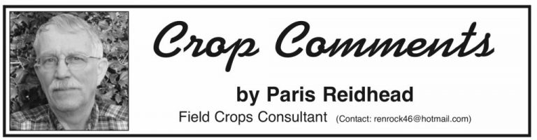 Crop Comments: Overheating soil samples – bad idea - Country Folks Grower