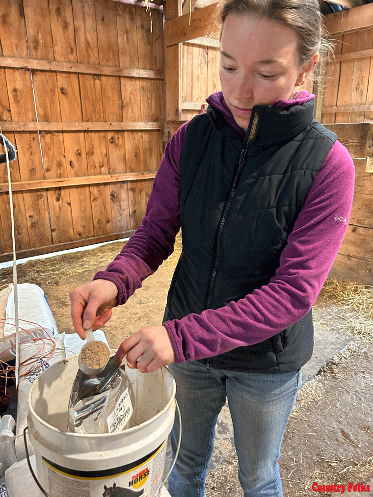 Basic nutrition: Vitamins, minerals, salt and water - Country Folks Grower