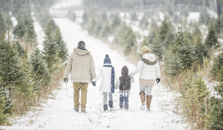 Virtual Christmas tree farm tours scheduled - Country Folks Grower