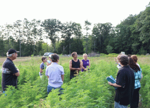 Hemp production at Full Moon Farm - Country Folks Grower