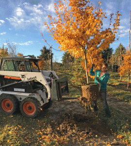 Successfully marketing trees & shrubs - Country Folks Grower