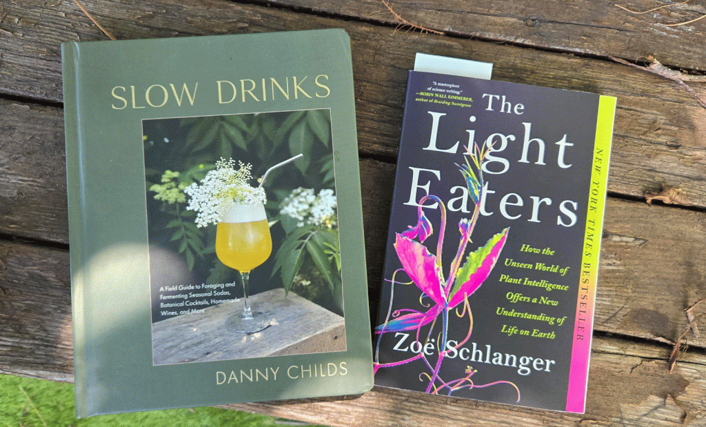 Balmy escapism: What’s on your summer reading list? - Country Folks Grower
