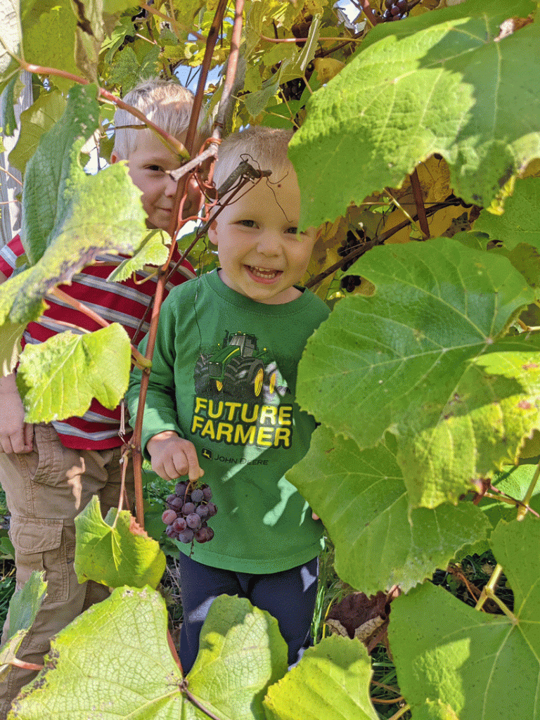 Choose-your-own-adventure at Ransom Sage Farm - Country Folks Grower