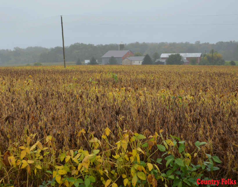 Plan ahead for farm protection programs - Country Folks Grower