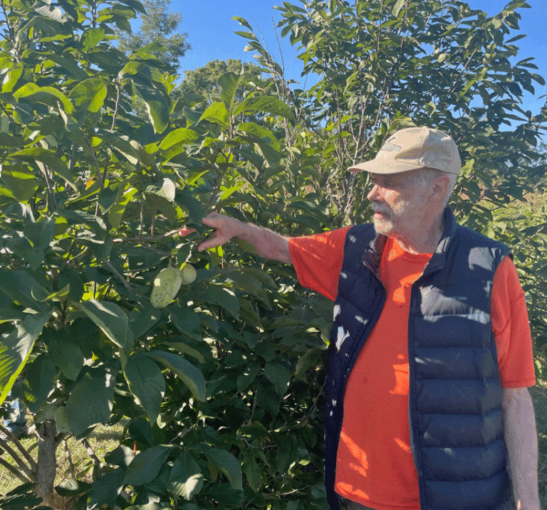 The feed is also a seed - Country Folks Grower